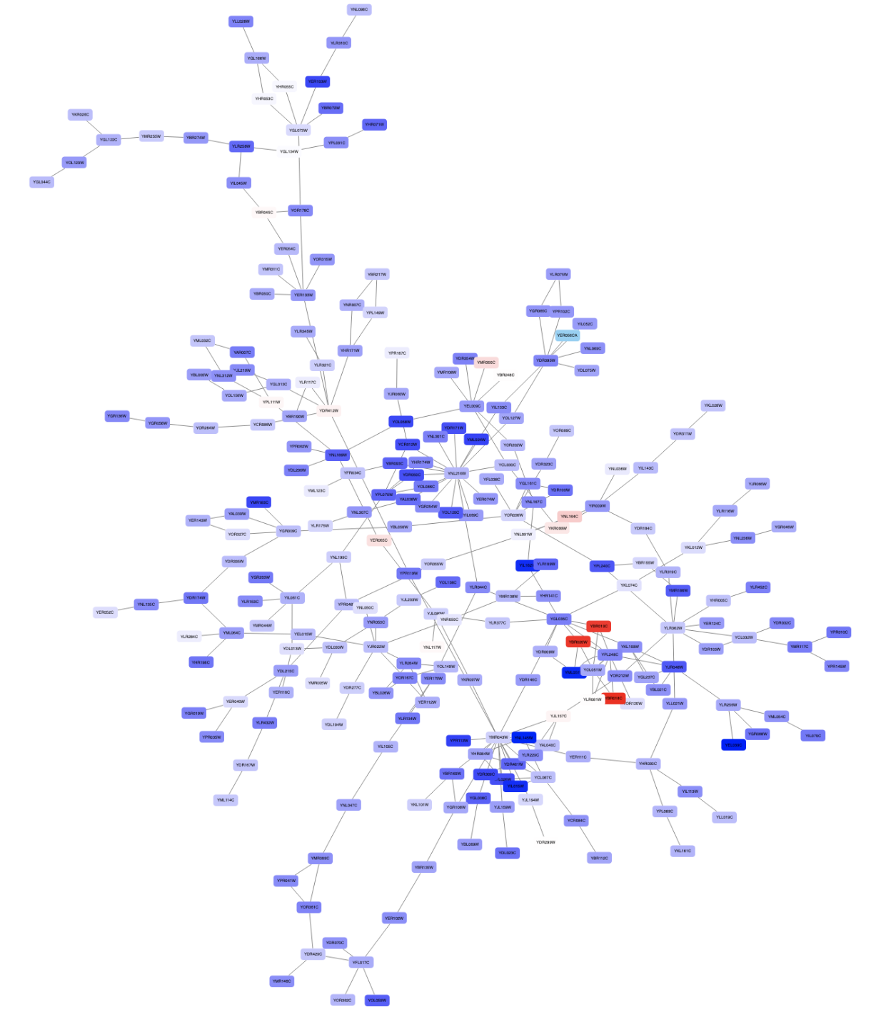 Basic Data Visualization in Cytoscape Web