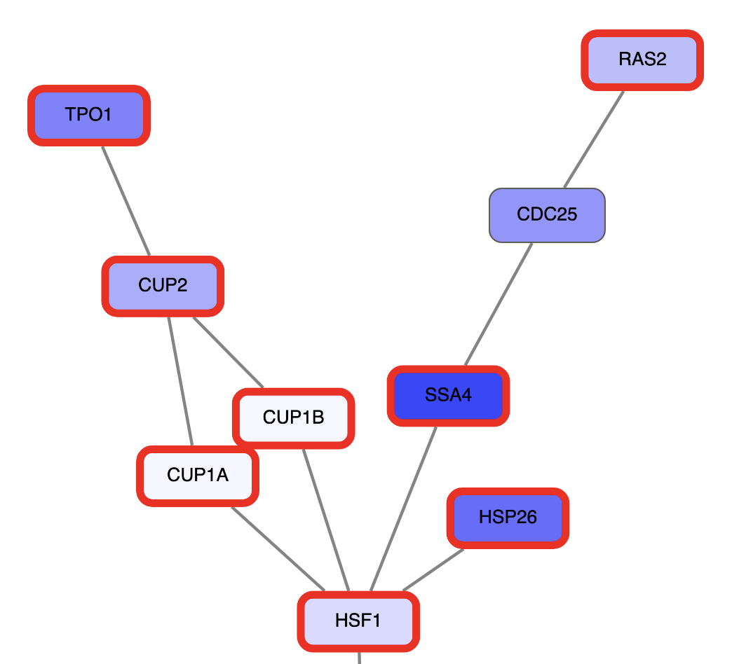 Basic Data Visualization in Cytoscape Web
