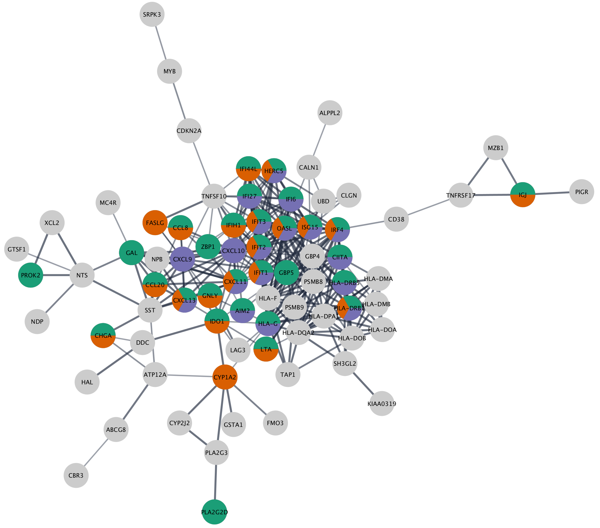 DE Genes Network Analysis