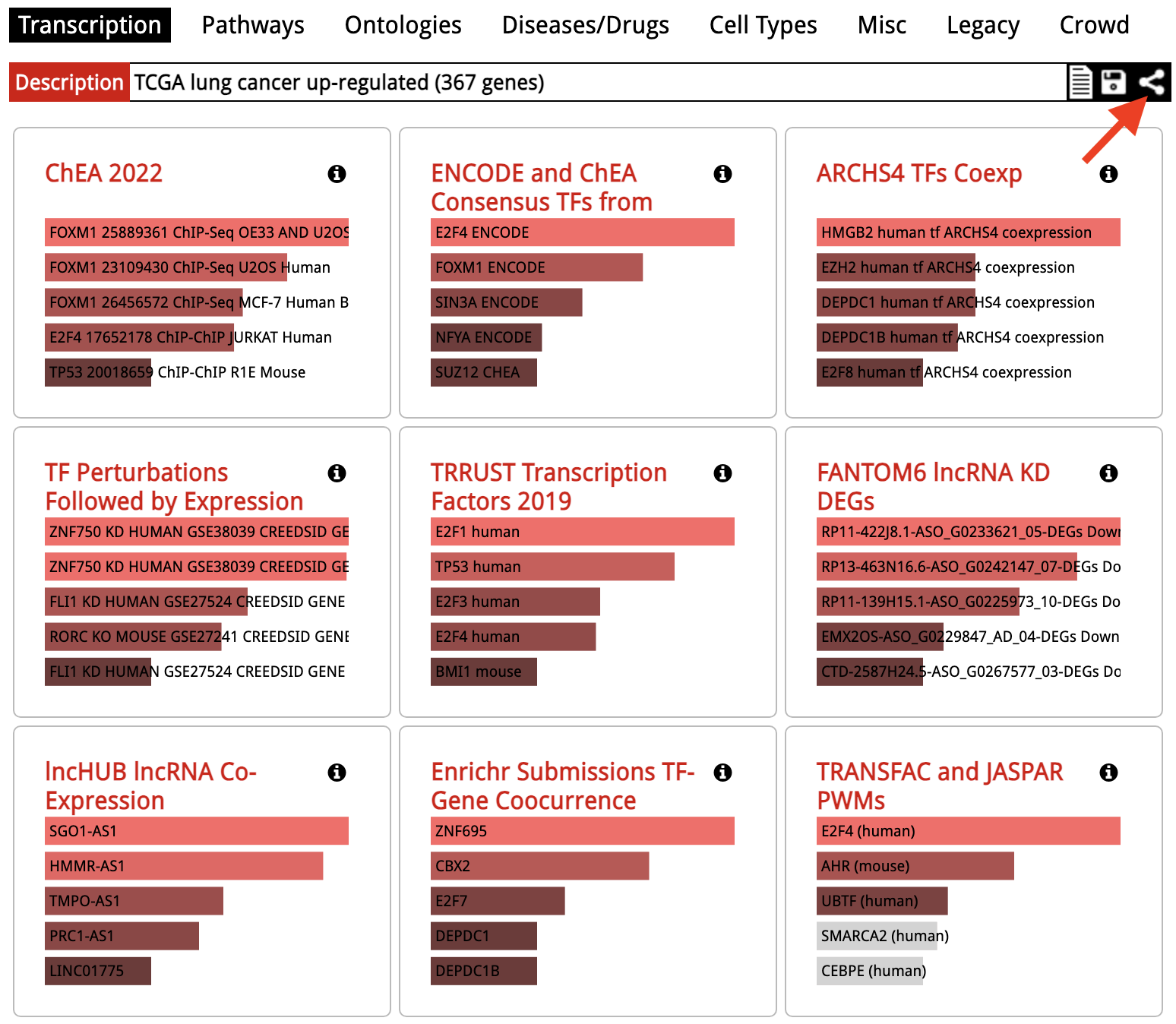 Functional Enrichment Analysis
